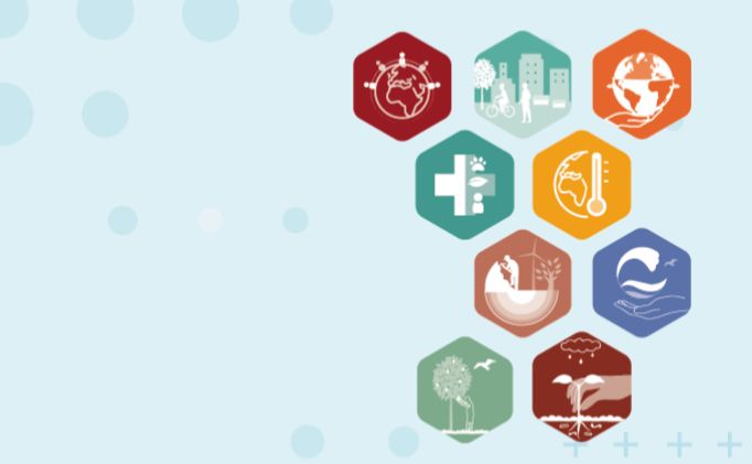 Knowledge Communities (CoSav)