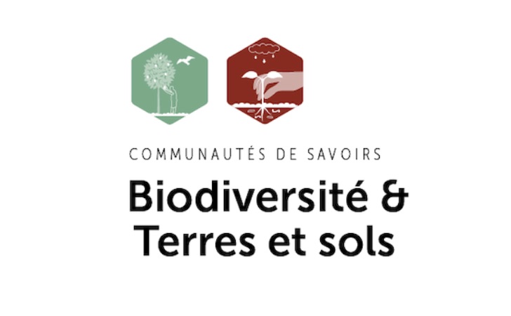 Better measure the impact of forest preservation and restoration ...